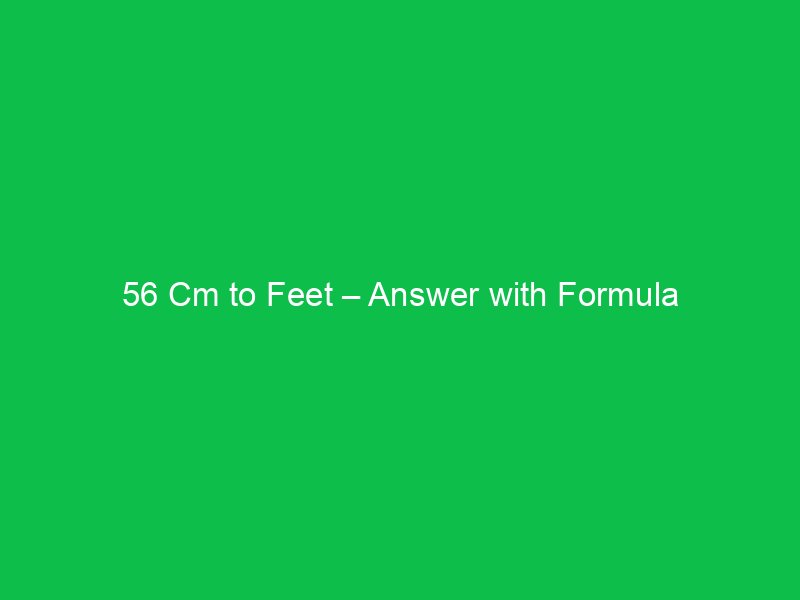 56 Cm to Feet – Answer with Formula - Prep My Career
