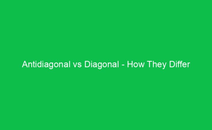 Antidiagonal vs Diagonal - How They Differ - Prep My Career