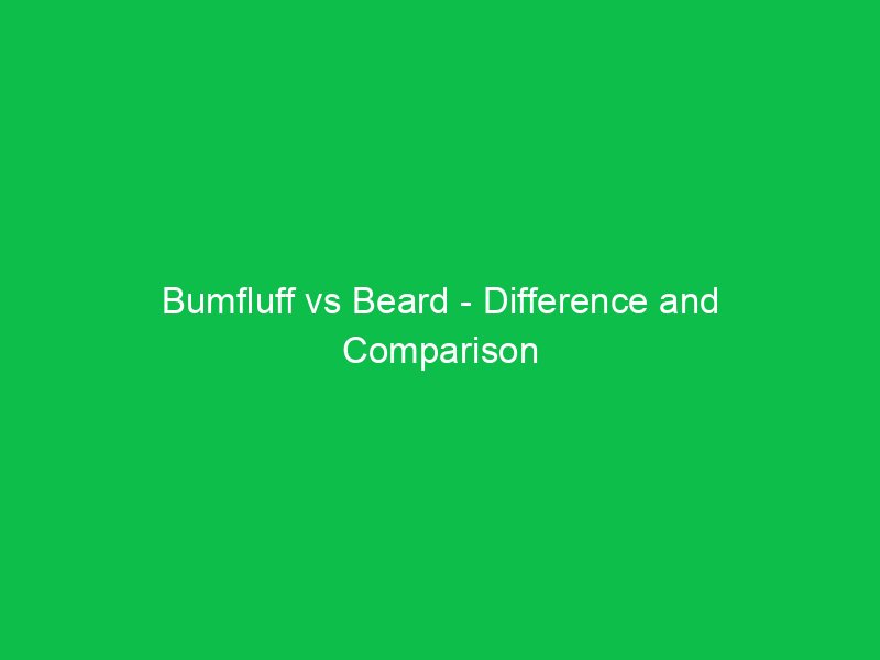 Bumfluff vs Beard - Difference and Comparison - Prep My Career