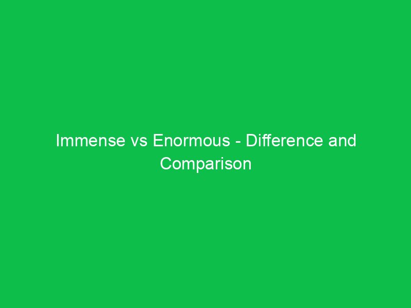 Immense vs Enormous - Difference and Comparison - Prep My Career