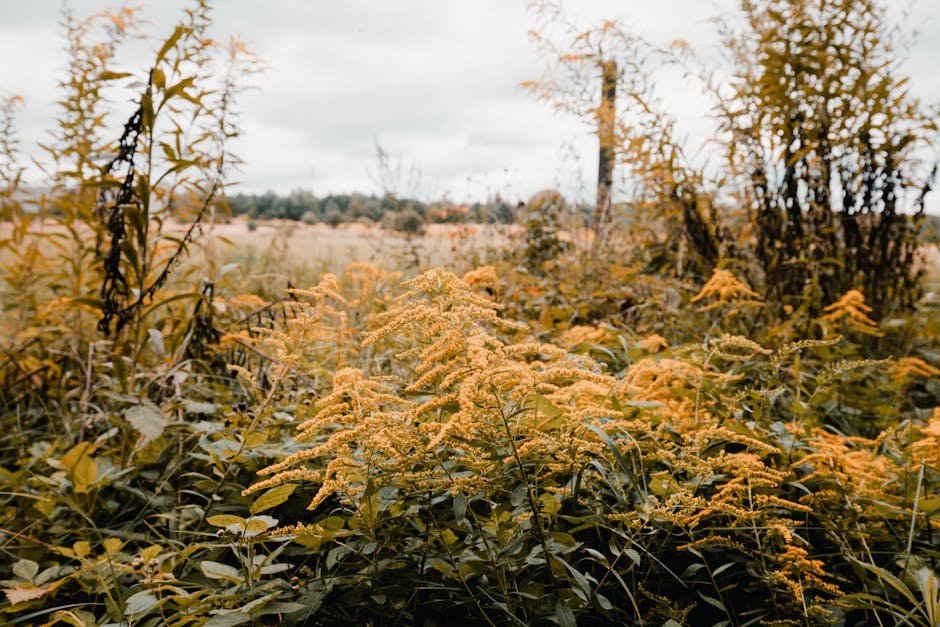 Idealism vs Realism - Full Comparison Guide - Prep My Career